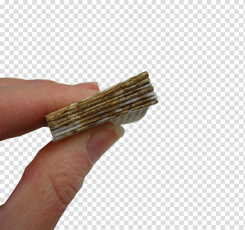 Finger Finger transparent background PNG clipart | HiClipart