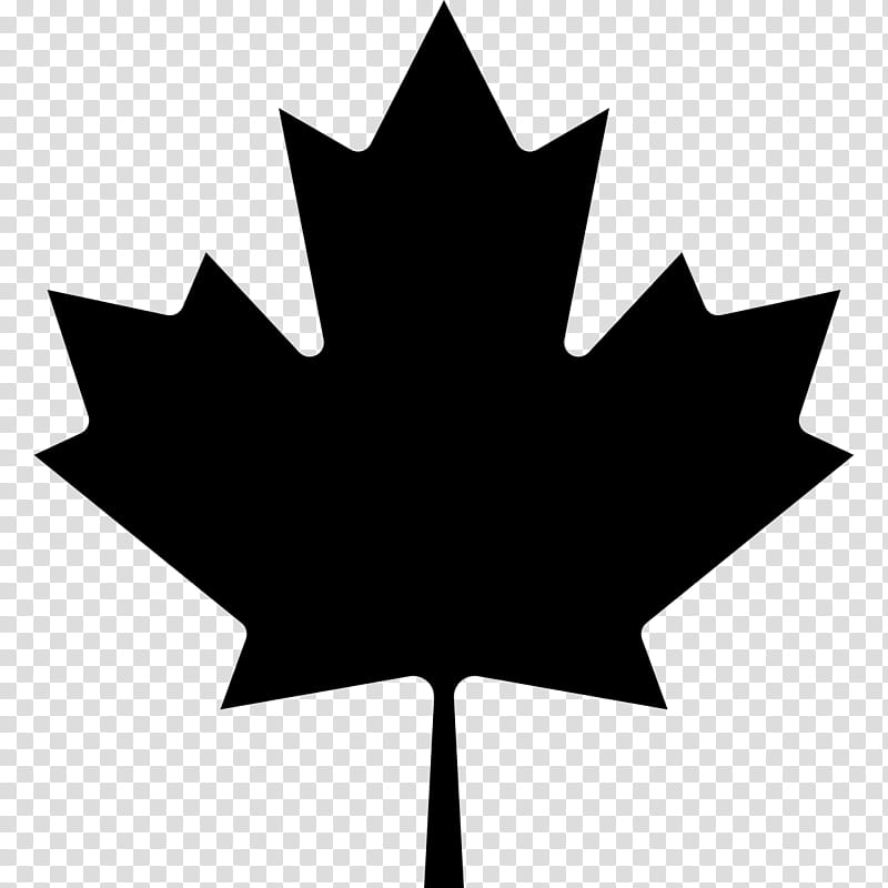 Canada Maple Leaf Canadian Gold Maple Leaf Flag Of Canada Symbol