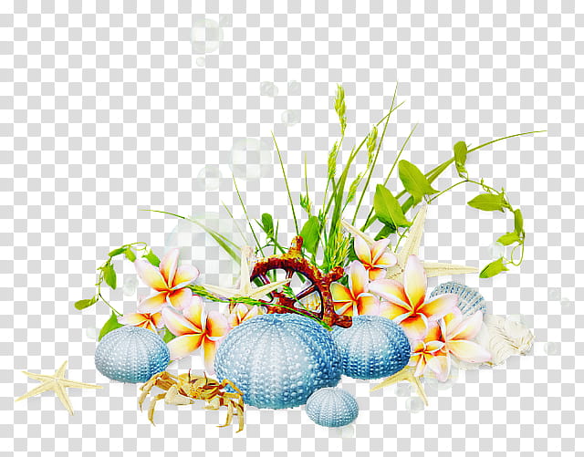 Plant flower transparent background PNG clipart | HiClipart