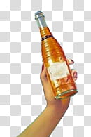 , person holding glass bottle transparent background PNG clipart ...