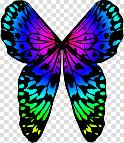 Wings Rainbow transparent background PNG clipart | HiClipart