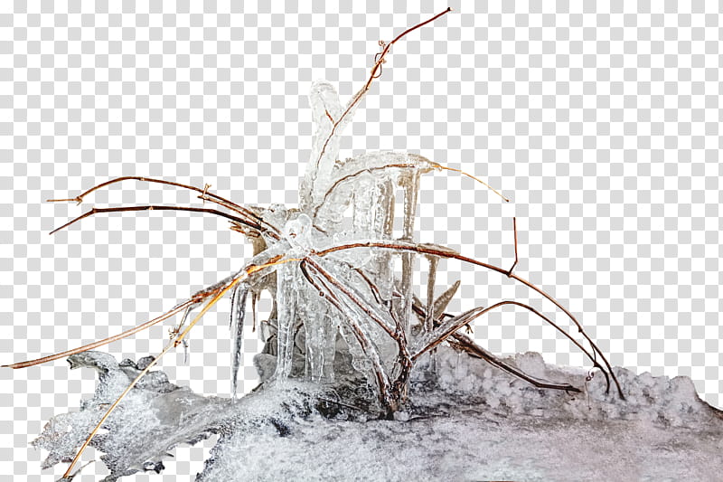 ICE transparent background PNG clipart | HiClipart
