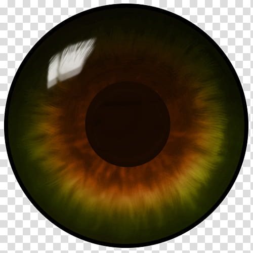 Realistic Eye Textures Green And Black Eyeball Art Transparent 