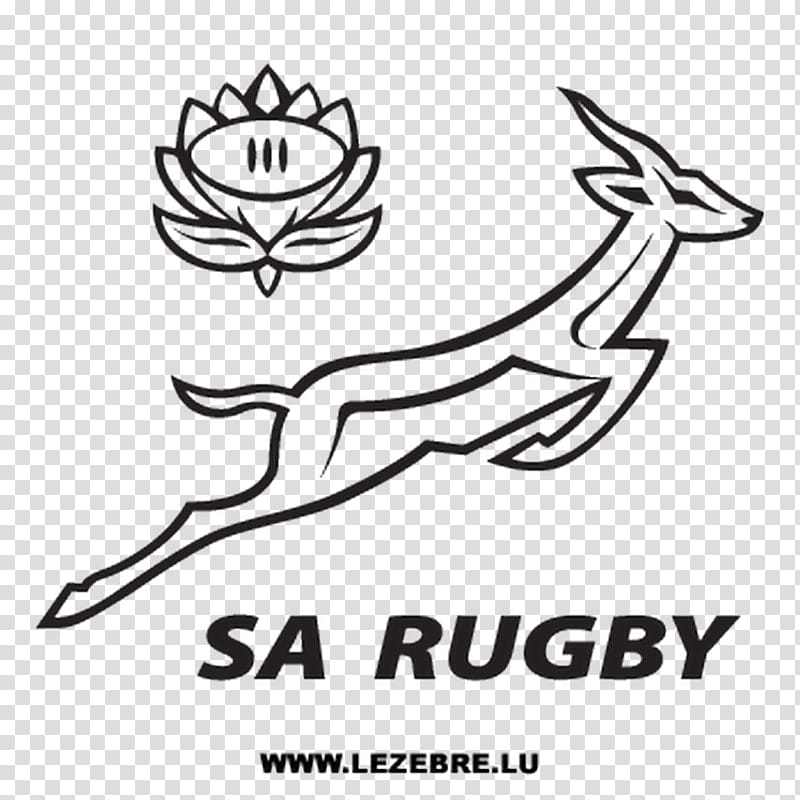 Springbok Logo Black And White Springbok Logo Black And White