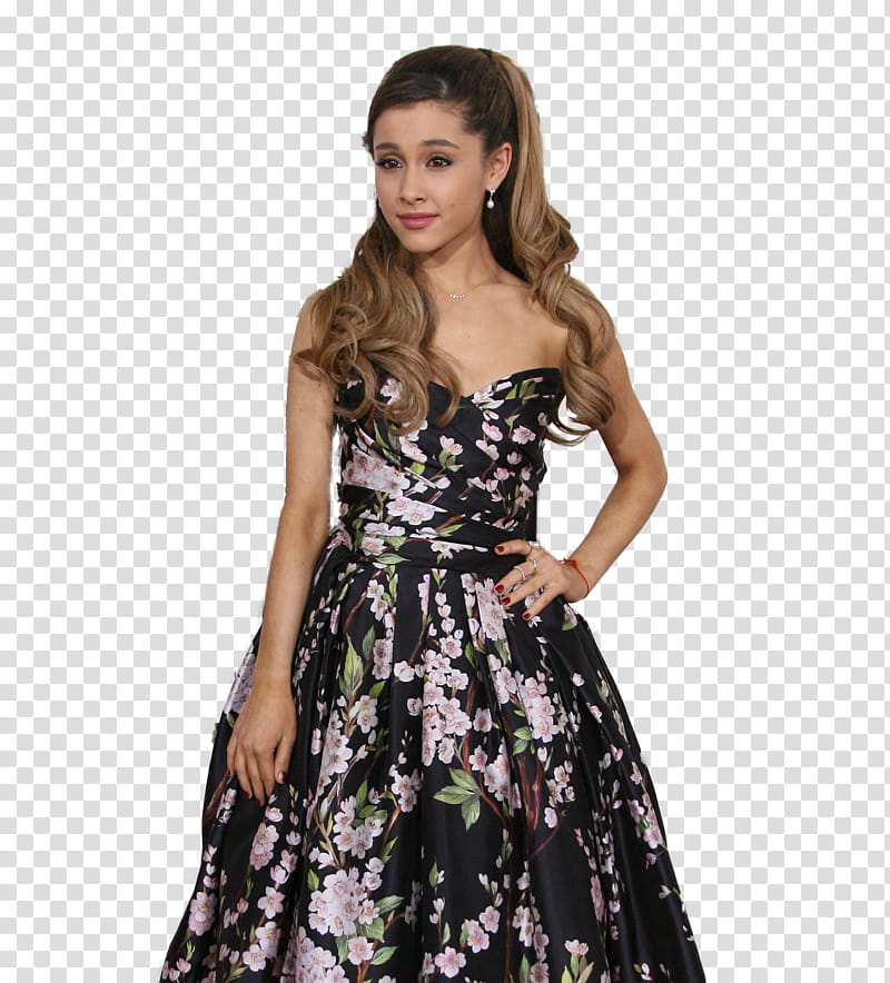 Ariana Grande transparent background PNG clipart | HiClipart