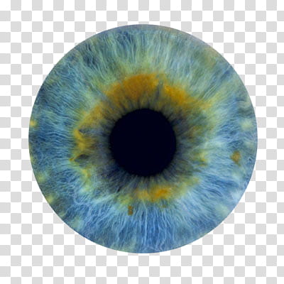 Eyes transparent background PNG clipart | HiClipart