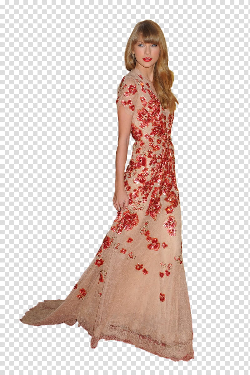 Taylor Swift transparent background PNG clipart | HiClipart