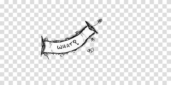 transparent background PNG clipart | HiClipart