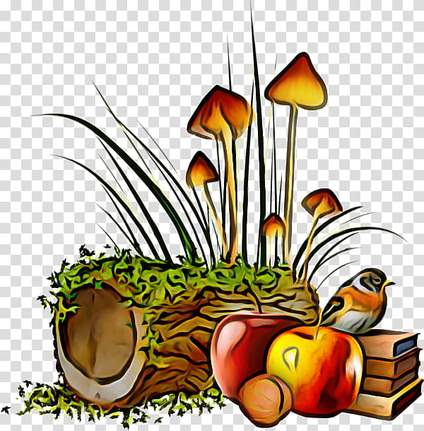 Plant transparent background PNG clipart | HiClipart